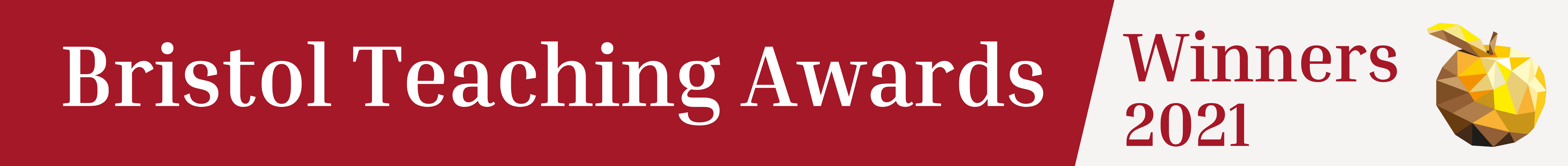 BTA winners 2021 – Bristol Institute for Learning and Teaching Blog