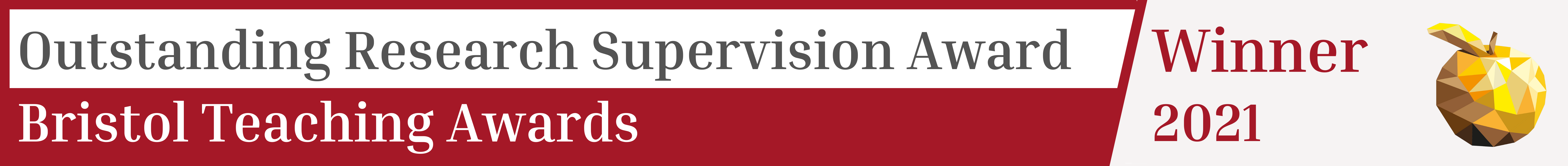 Research Supervision winner banner (1) – Bristol Institute for Learning ...